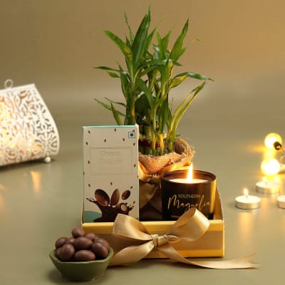 L2 Fortune Fiesta Hamper: Gift/Send Food Gifts Online JVS1202926 |IGP.com