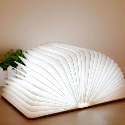 Buy/Send LED Book Lamp - Assorted - Single Piece Online | IGP | JVS1277705