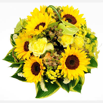 Buy/Send Lilou Online | IGP | NID1345660