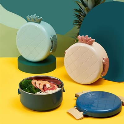 Buy/Send Lunch Box - Pineapple Shaped - Assorted - Single Piece Online ...