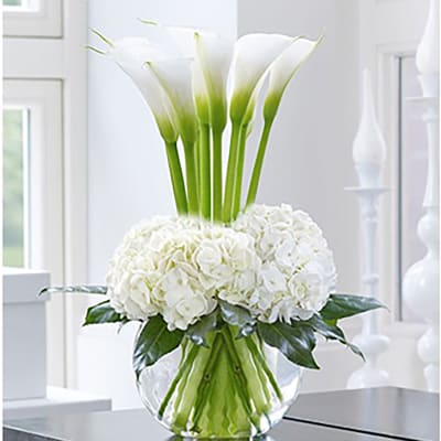 Buy/Send LUXURY CALLA LILY AND HYDRANGEA BOUQUET Online | IGP | IP1121504