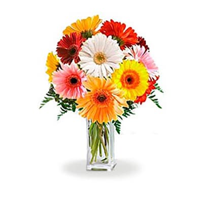 Buy/Send Mix Gerbera Online | IGP | JVS1195676