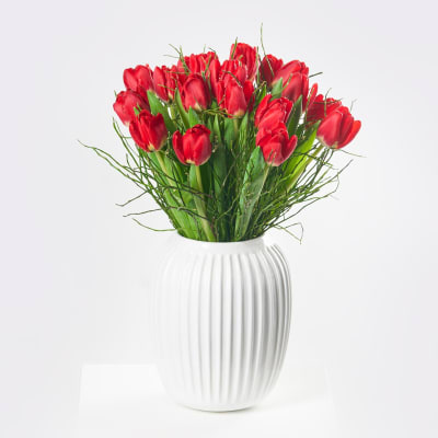 Buy/Send New Beginning Online | IGP | ID1282025