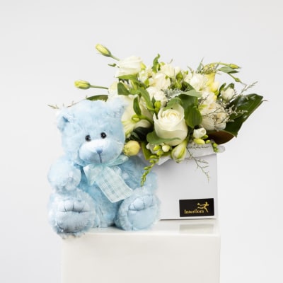 Buy/Send Oh Baby Blue Online | IGP | NZ1286737