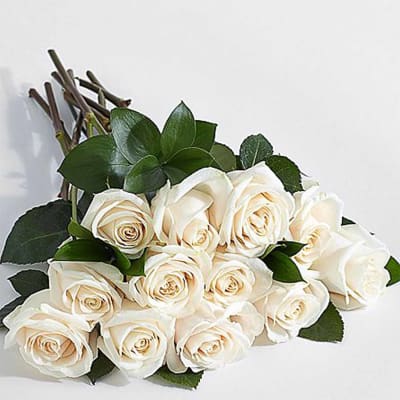 Order One Dozen Long Stemmed White Roses Online at Best Price, Free ...