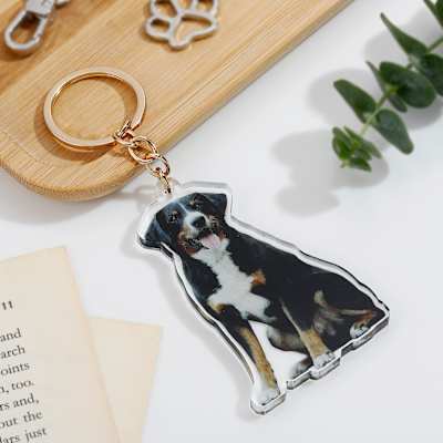 Buy/Send Personalized Adorable Pet Dog Keychain Online | IGP | JVS1395742