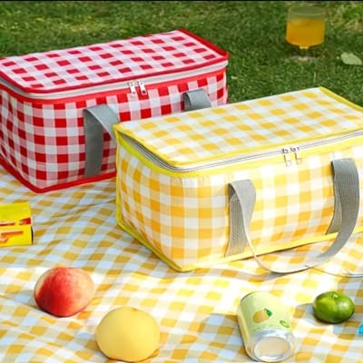 Buy/Send Picnic Bag - Assorted - Single Piece Online | IGP | JVS1259028