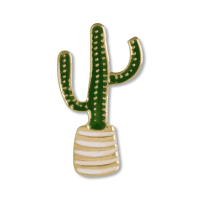 Buy Send Pin Cactus Online Igp Jvs1267481