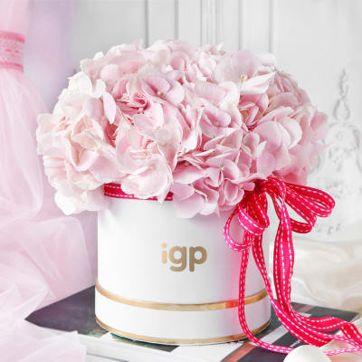 Buy/Send Pink Beauty Flower Box Online | IGP | JVS1265801