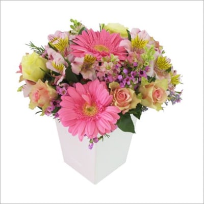 Buy/Send Pink Perfect Online | IGP | ID1058563