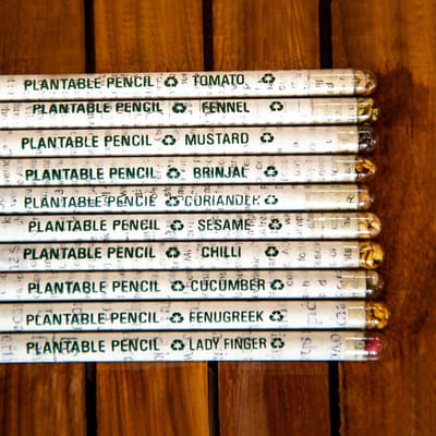 Buy/Send Plantable Pencils Online | IGP | JVS1253069