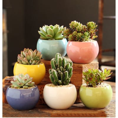 Buy/Send Planter - Plain Ball - Single Piece Online | IGP | JVS1235897