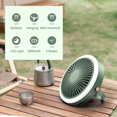 Buy/Send Portable Fan With Light Breezy Single Piece Online | IGP ...