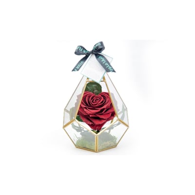 Buy/Send Rose Cage Online | IGP | IP1120068