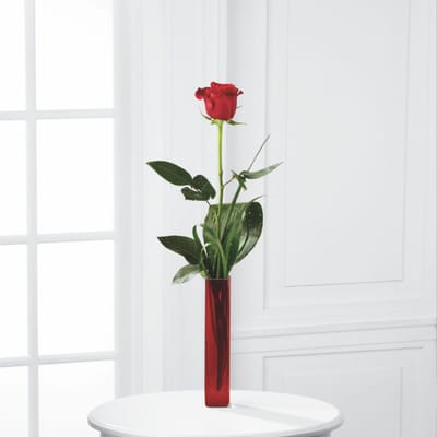 Buy/Send Single Flower Online | IGP | ID1151241