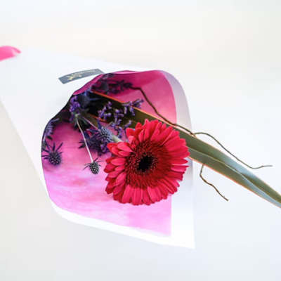 Buy/Send Single Flower Online | IGP | ID1358271