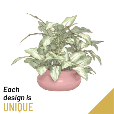 Buy/Send Single Plant Online | IGP | ID1392793