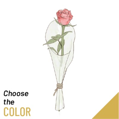 Buy/Send Single Rose Online | IGP | ID1350085
