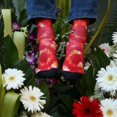 Buy/Send Socks Poinciana Passion Men And Women Ankle Length Small India ...