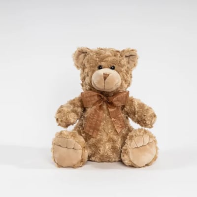Buy/Send Soft Toy Online | IGP | NZ1284710