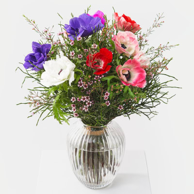 Buy/Send Splendor of Colour Online | IGP | ID1282831