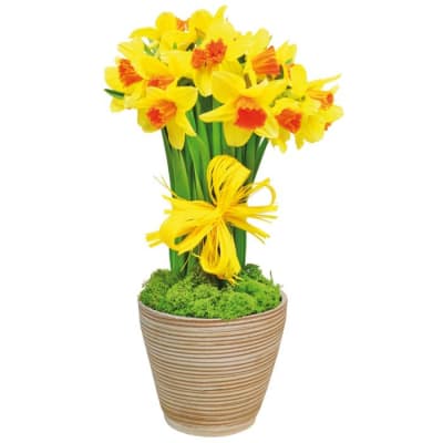 Buy/Send Spring joy combination Online | IGP | NID1318988