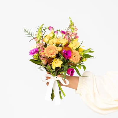 Buy/Send Spring Posy Online | IGP | NZ1421267