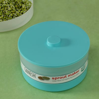 Sprout Maker: Gift/Send Home Gifts Online J11102205 |IGP.com