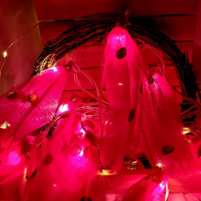 Buy/Send String LED - Red Potli - 20 Lights Online | IGP | JVS1217889