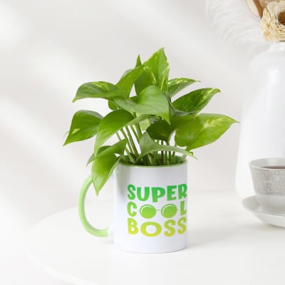Buy/Send Super Cool Boss - Money Plant In Personalized Mug Online | IGP ...