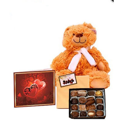 Buy/Send Teddy n Chocolate Online | IGP | JVS1177386