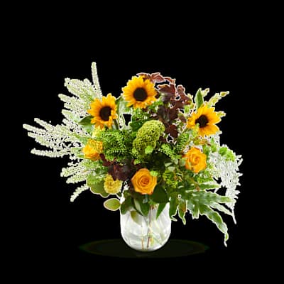 Buy/Send Tess Online | IGP | ID1386229