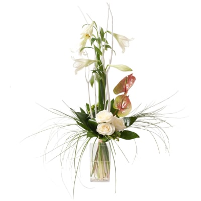 Buy/Send Volupte Online | IGP | ID1087789