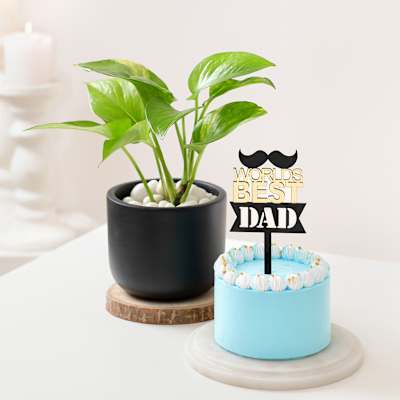 World's Best Dad Money Plant And Cake Combo: Gift/Send Peripherals ...