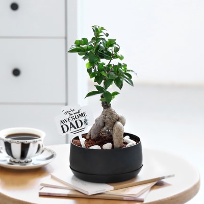 Buy/Send Zen Essence Online | IGP | JVS1286105